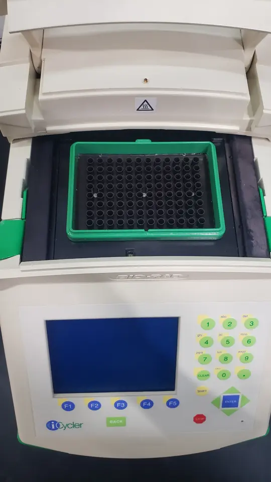 Bio-Rad iCycler Thermal Cycler Sample capacity: 1 x 96-well